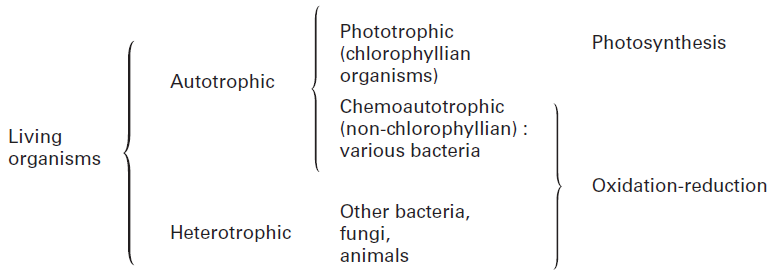 Water and cell metabolism - Degremont®