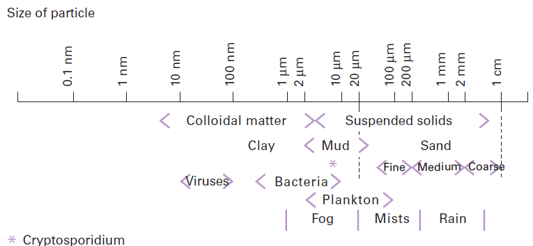 The physical states of impurities in water - Degremont®