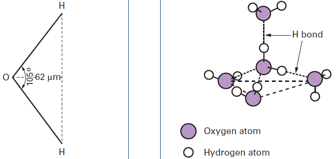 The three states of water - Degremont®