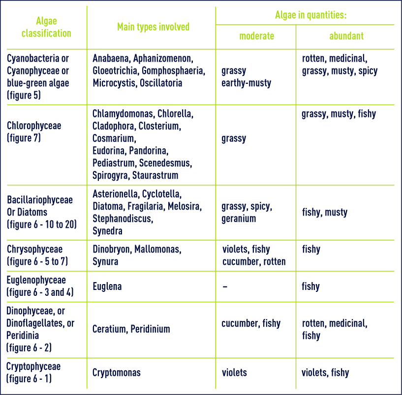 Micro-organisms for which freshwater is their natural habitat - Degremont® Micro-organisms for which freshwater is their natural habitat - Degremont®
