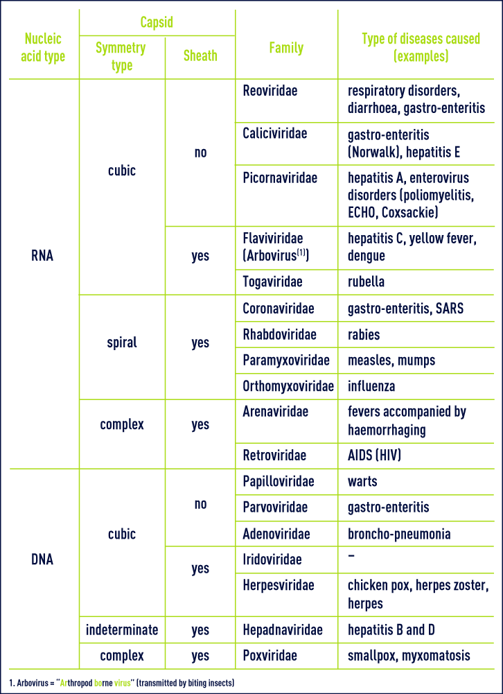 Principles governing the classification of living beings - Degremont®