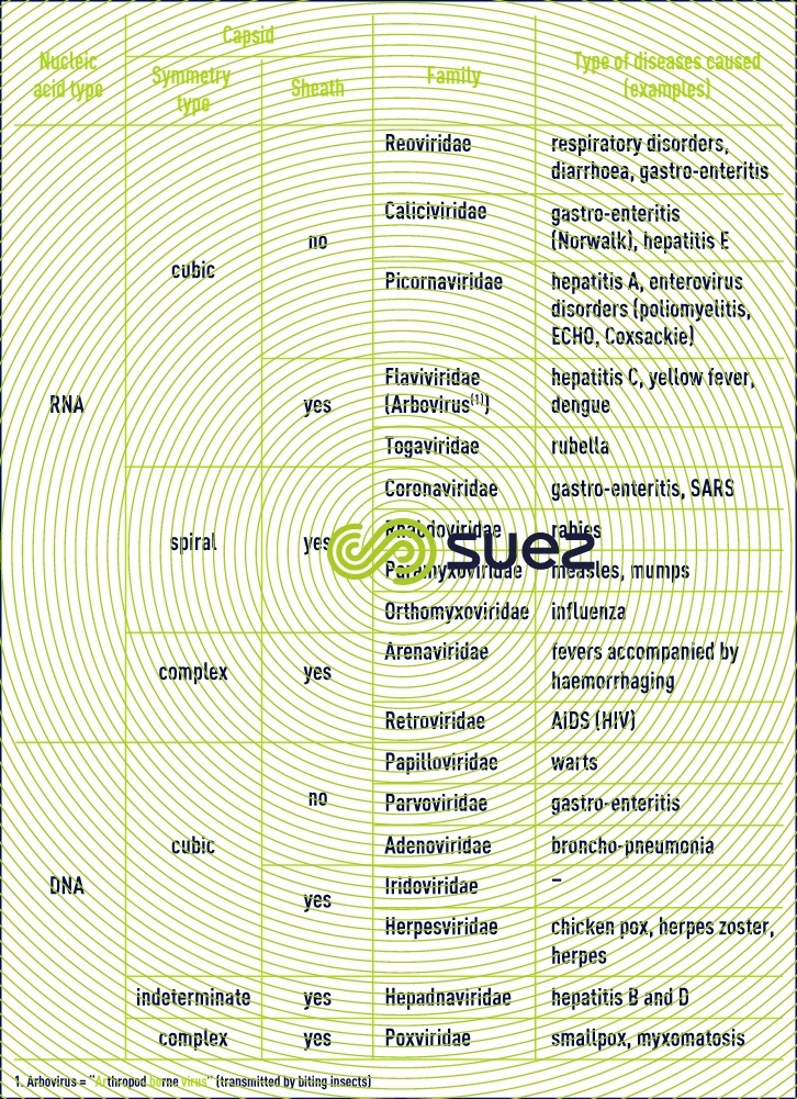 Viruses - Degremont®