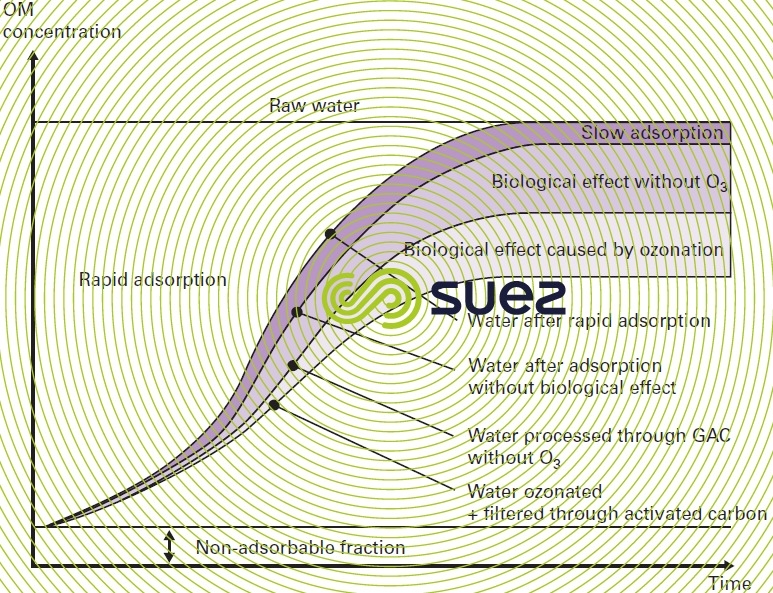 The BAC (biological activated carbon concept) - Degremont®
