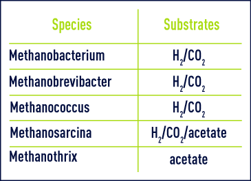 Methanogenic Bacteria