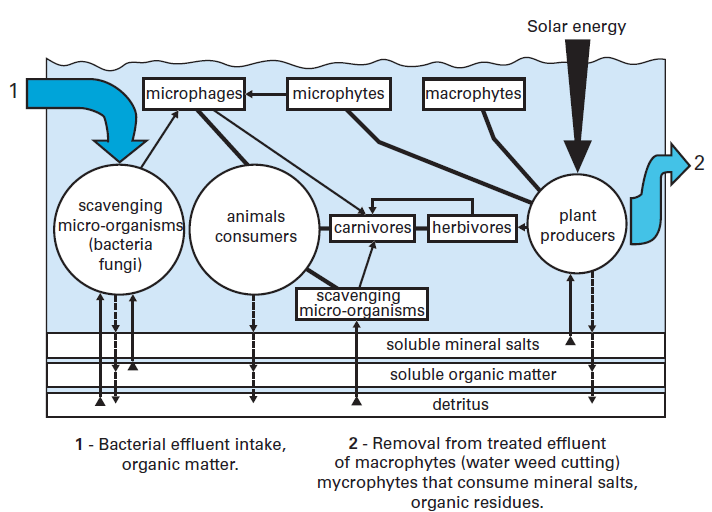 Extensive solutions - Degremont®