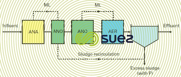 Suspended growth (activated sludge) - page 3 - Degremont®