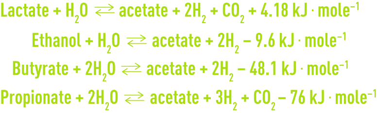 Methanogenesis biochemistry and microbiology - Degremont®