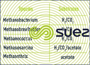 Special features of methane producing bacteria - Degremont®