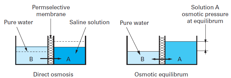water treatment desalination membranes - Degremont®