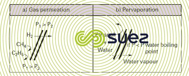 water treatment permeation processes - Degremont®