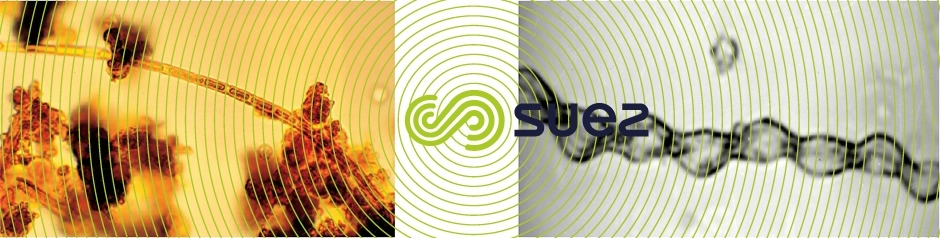 iron and manganese cycle - Degremont®