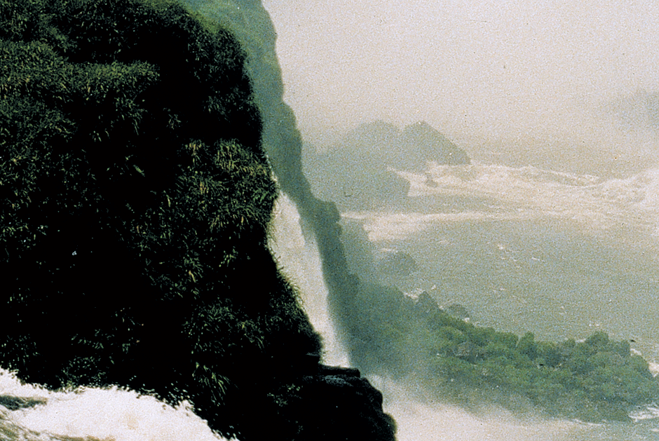 biological impurities in water - Degremont®