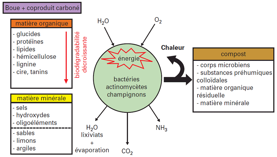 sludge composting - principle and conditions governing its use - Degremont®
