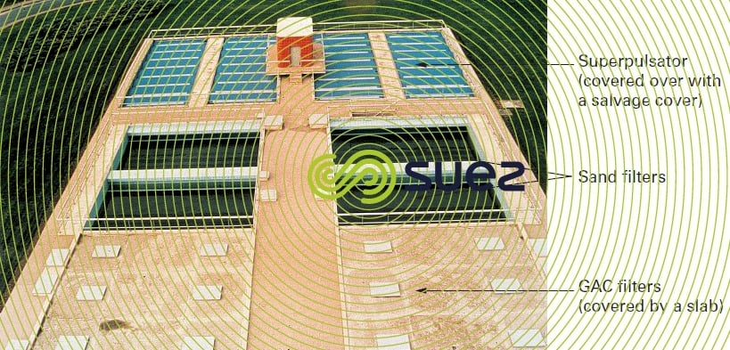 Water treatment : problems associated with algae and zooplankton ...